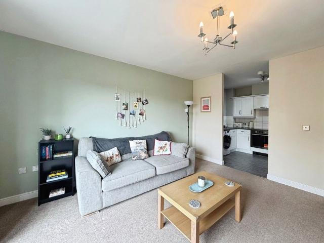 1 bedroom apartment to rent
