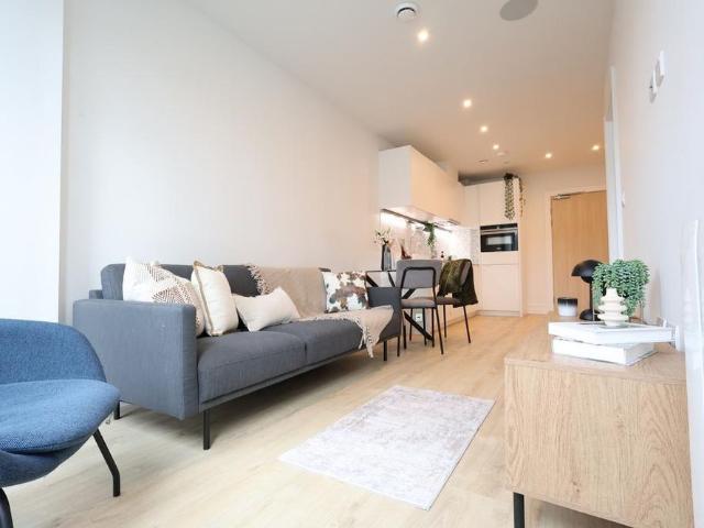 1 bedroom apartment to rent