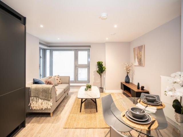 1 bedroom apartment to rent