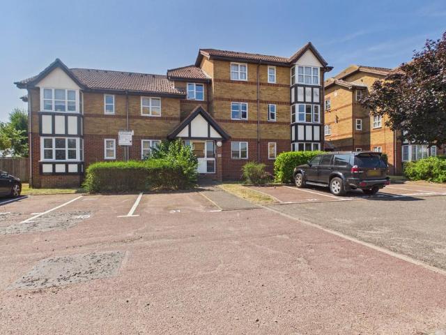 1 bedroom apartment to rent