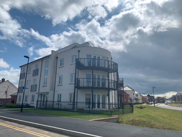 1 bedroom apartment to rent