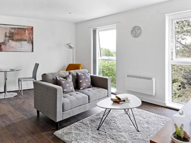 1 bedroom apartment to rent