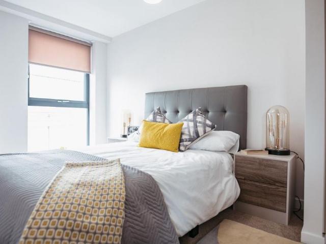 1 bedroom apartment to rent