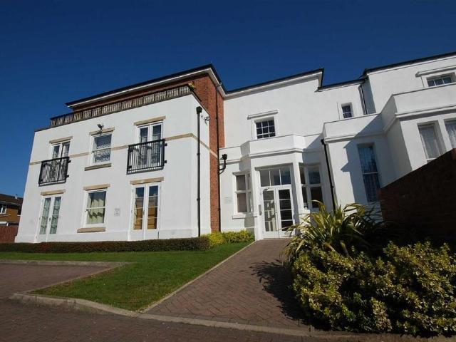 1 bedroom apartment to rent
