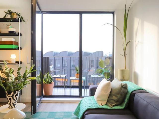 1 bedroom apartment to rent