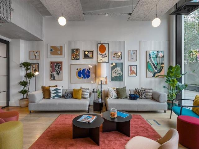 1 bedroom apartment to rent