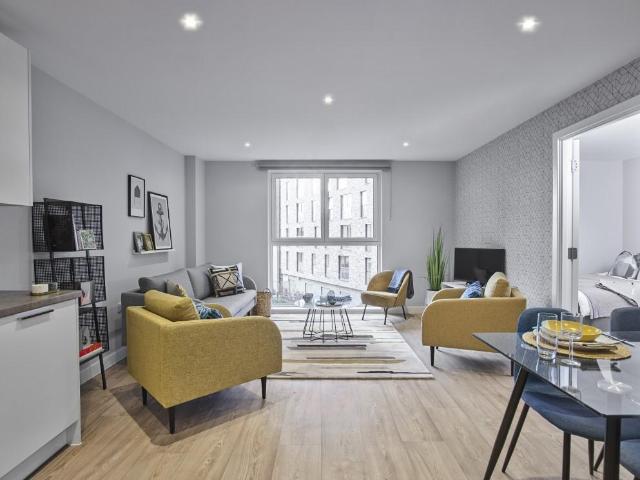 1 bedroom apartment to rent