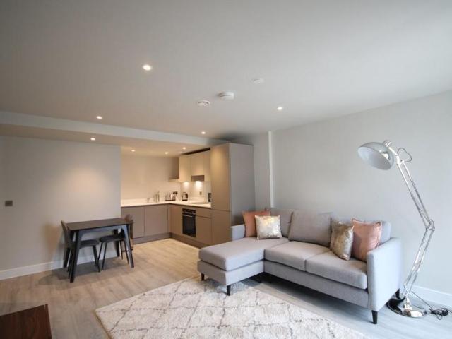 1 bedroom apartment to rent