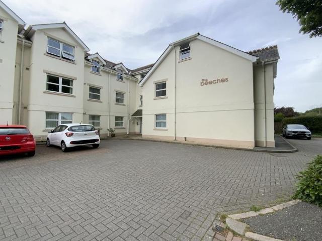 1 bedroom apartment to rent
