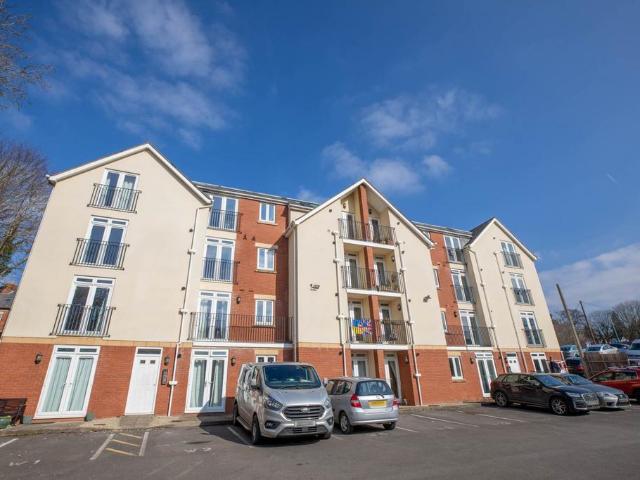 1 bedroom apartment to rent