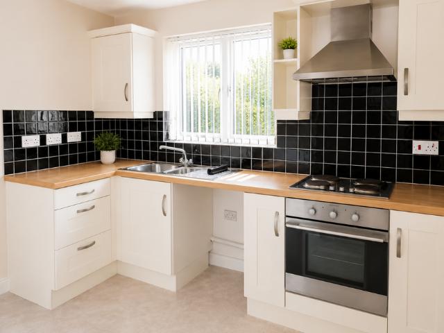 1 bedroom apartment to rent
