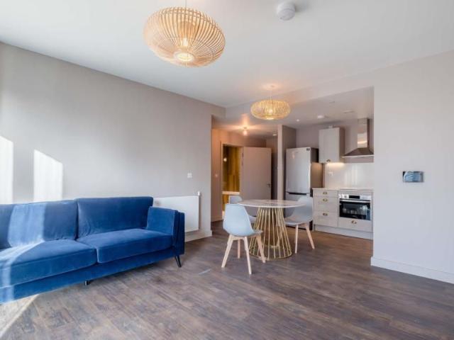 1 bedroom apartment to rent