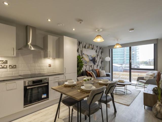 1 bedroom apartment to rent