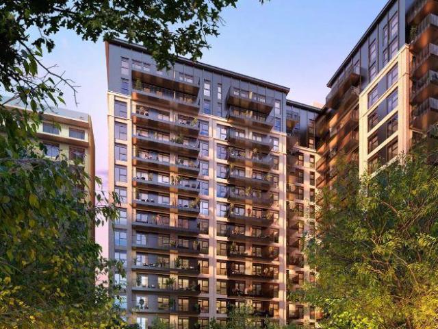 1 bedroom apartment to rent
