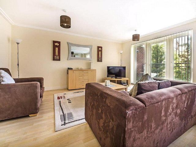 1 bedroom apartment to rent