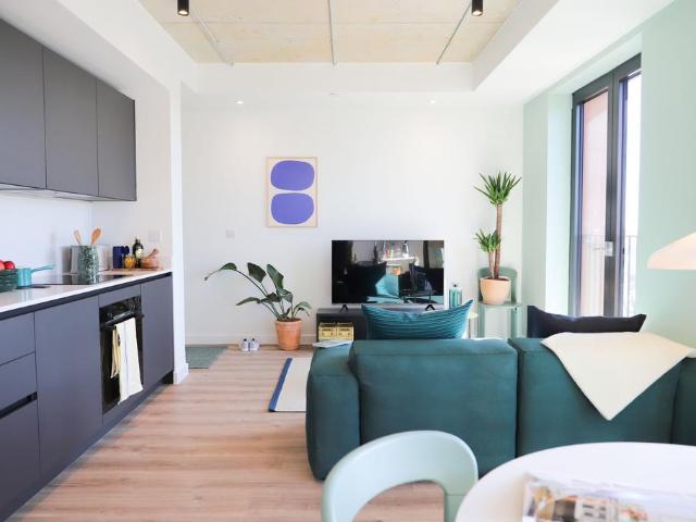 1 bedroom apartment to rent