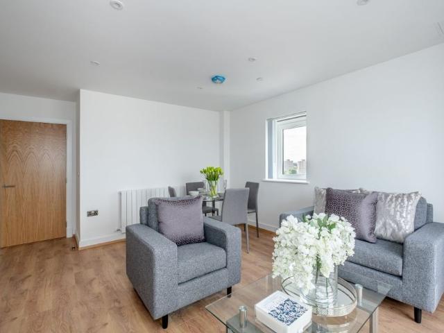1 bedroom apartment to rent