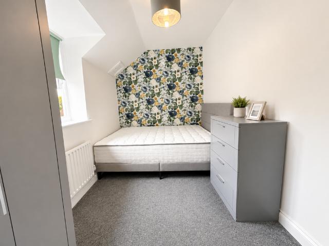 1 bedroom apartment to rent