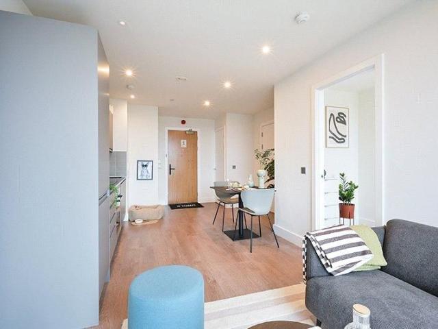 1 bedroom apartment to rent