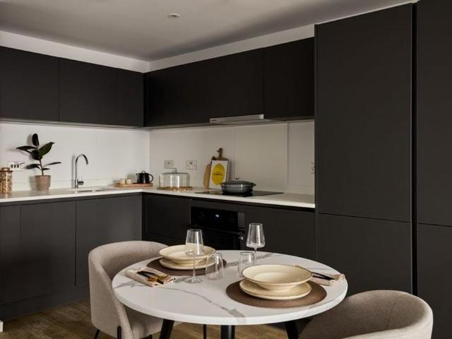 1 bedroom apartment to rent
