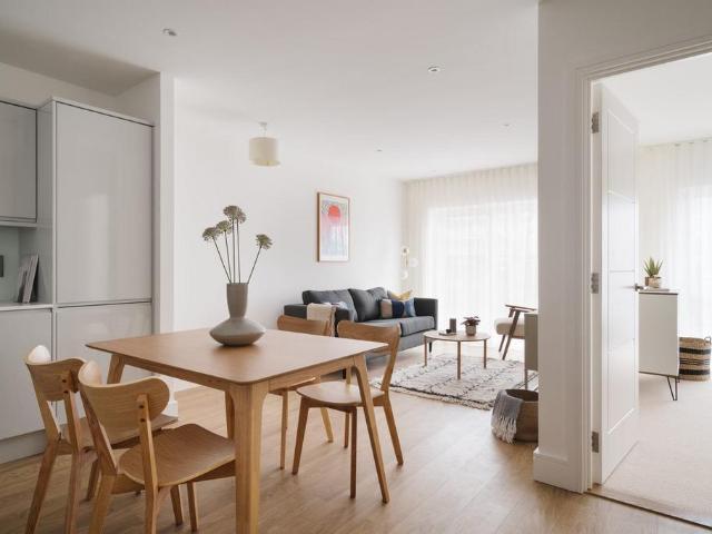 1 bedroom apartment to rent