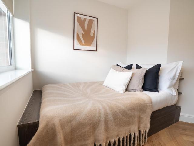 1 bedroom apartment to rent