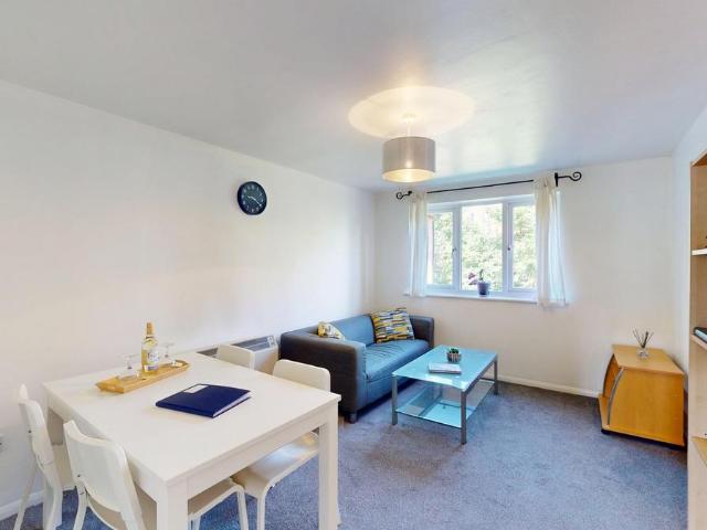 1 bedroom apartment to rent