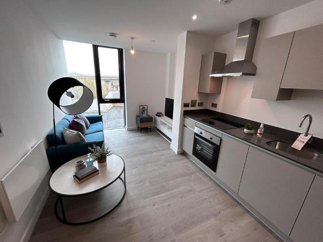 1 bedroom apartment to rent