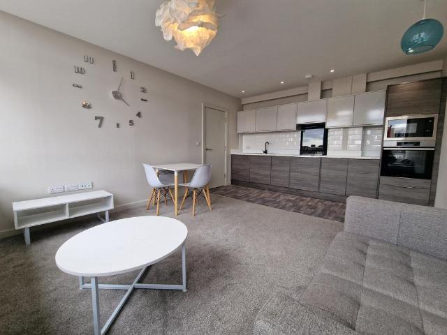 1 bedroom apartment to rent