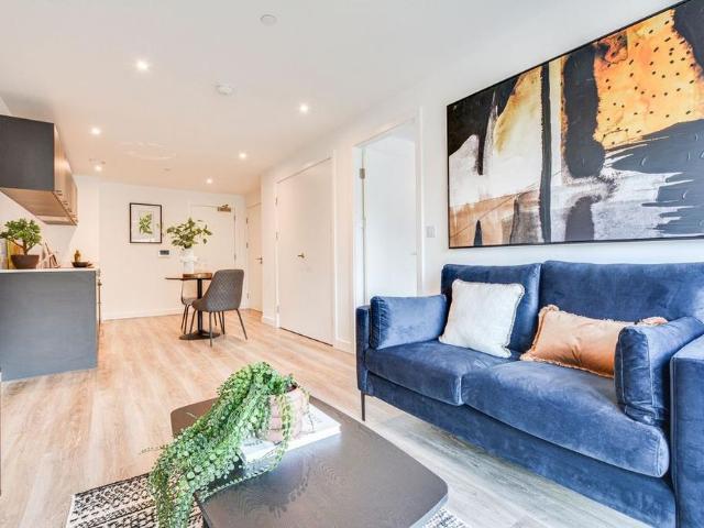 1 bedroom apartment to rent