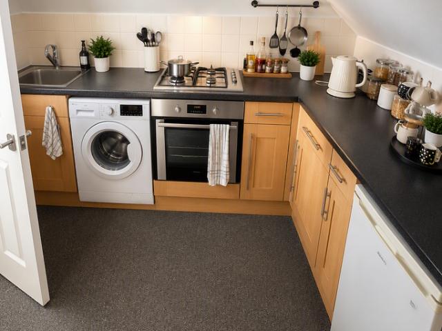 1 bedroom apartment to rent