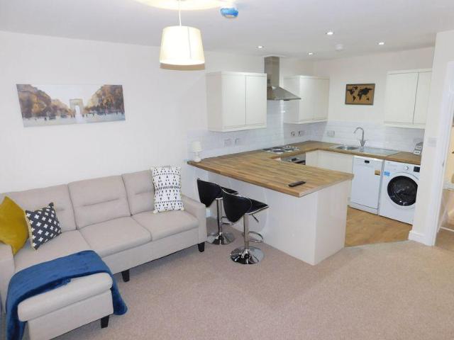 1 bedroom apartment to rent