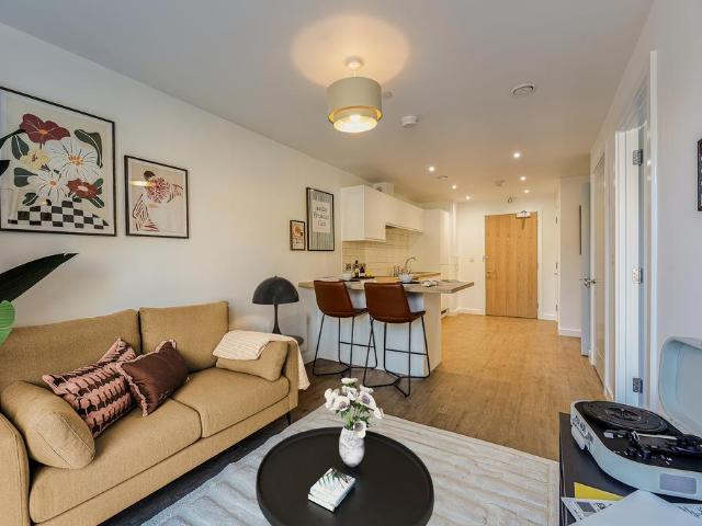 1 bedroom apartment to rent