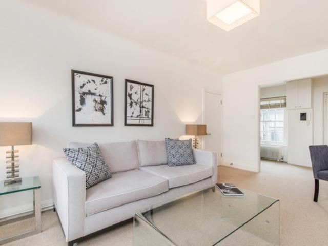 1 bedroom apartment to rent
