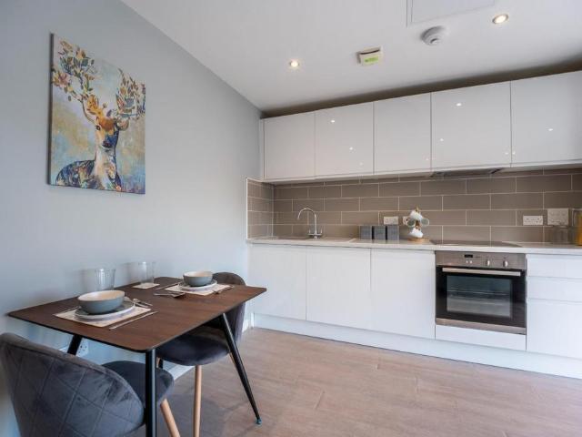 1 bedroom apartment to rent