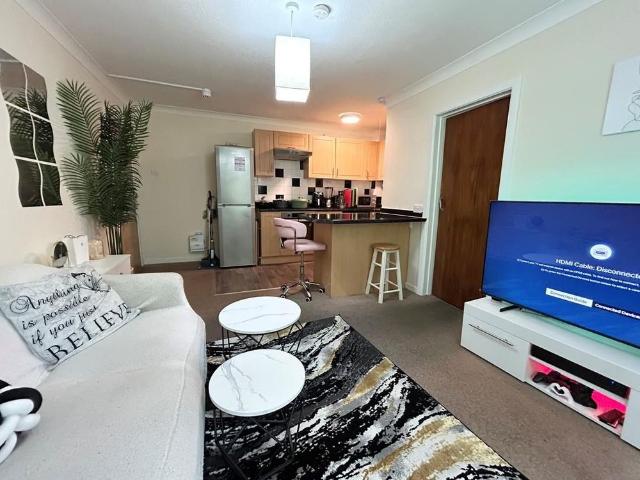 1 bedroom apartment to rent