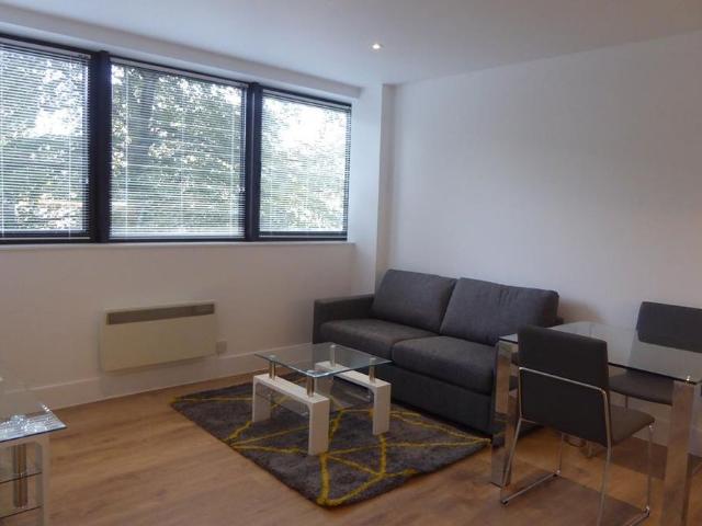 1 bedroom apartment to rent
