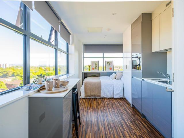 1 bedroom apartment to rent