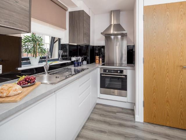 1 bedroom apartment to rent
