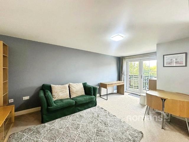 1 bedroom apartment to rent