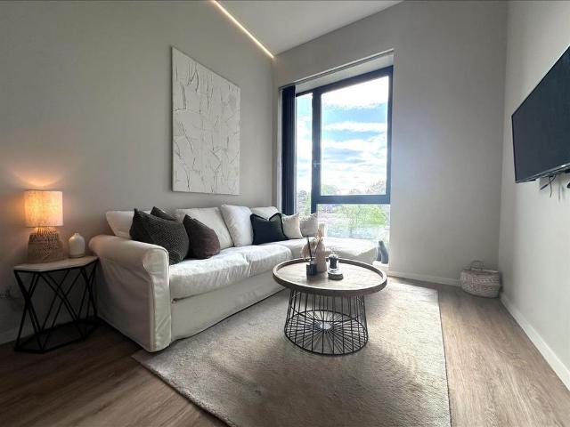 1 bedroom apartment to rent