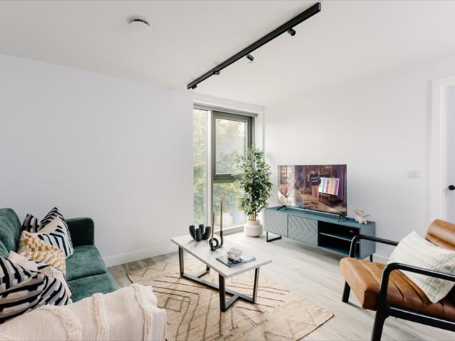 1 bedroom apartment to rent