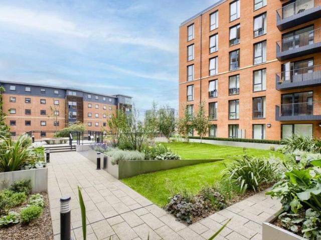 1 bedroom apartment to rent
