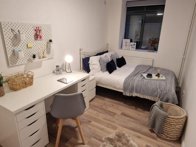 1 bedroom apartment to rent