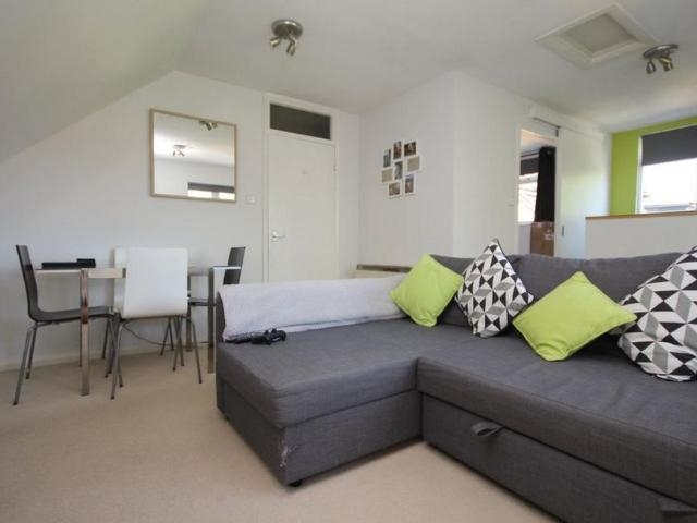 1 bedroom apartment to rent