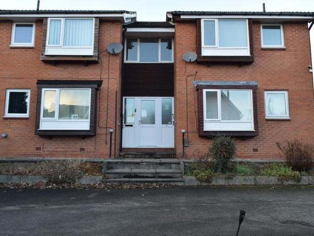1 bedroom apartment to rent