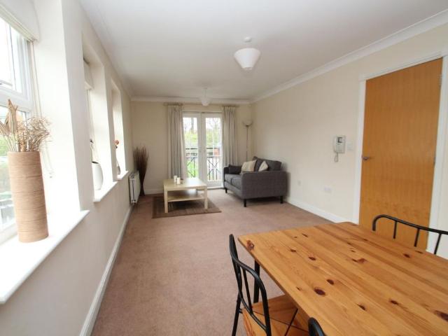 1 bedroom apartment to rent