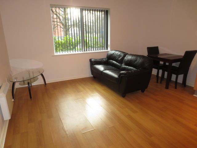 1 bedroom apartment to rent