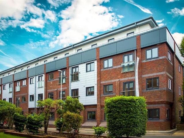 1 bedroom apartment to rent
