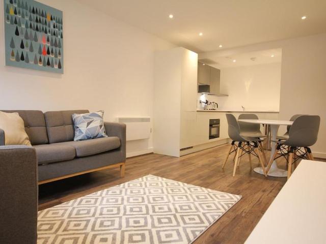 1 bedroom apartment to rent